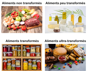 Les Aliments Ultra-Transformés (AUT) : dangers et solutions - ScanUp